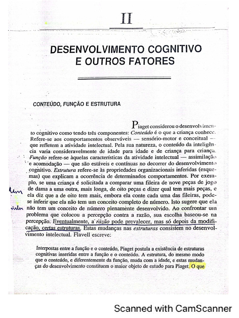 02 - Desenvolvimento Cognitivo e Outros Fatores Pgs 11-24 | PDF