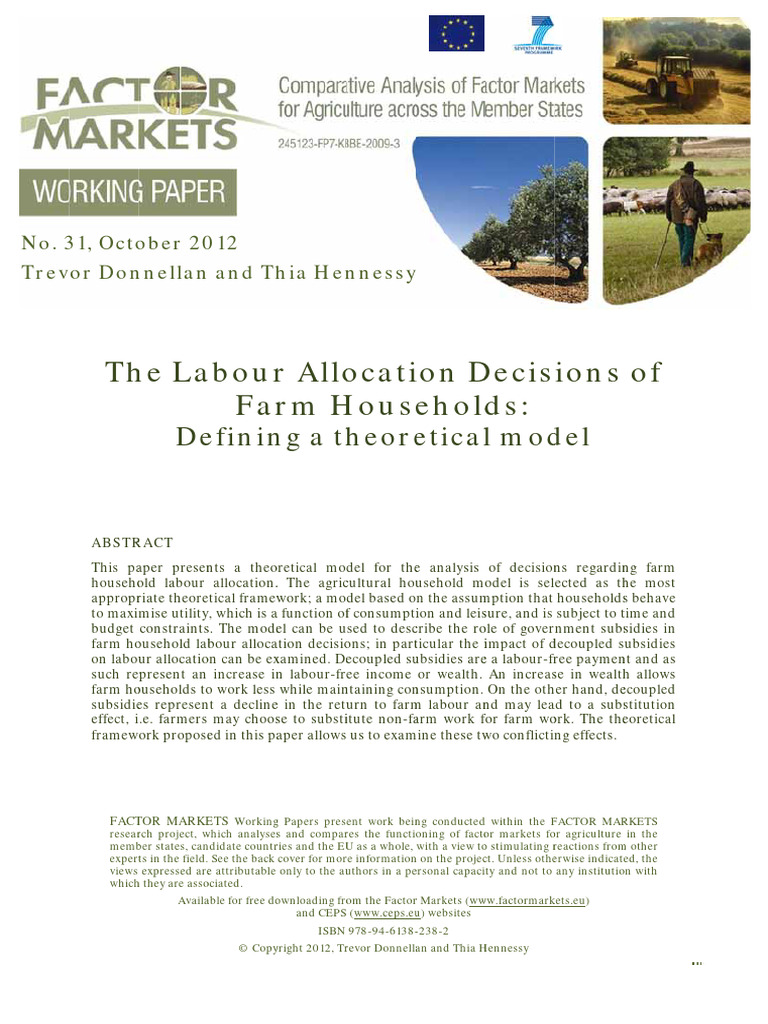 FM No 31 Household Labour Allocation Decisions | PDF | Labour Economics ...