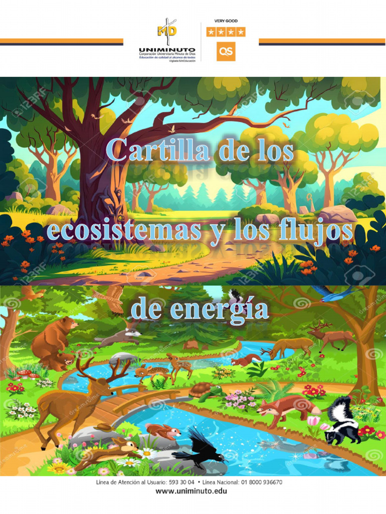 Actividad 5 Ecosistemas Terrestres 1 | PDF | Mangle | Ecosistema