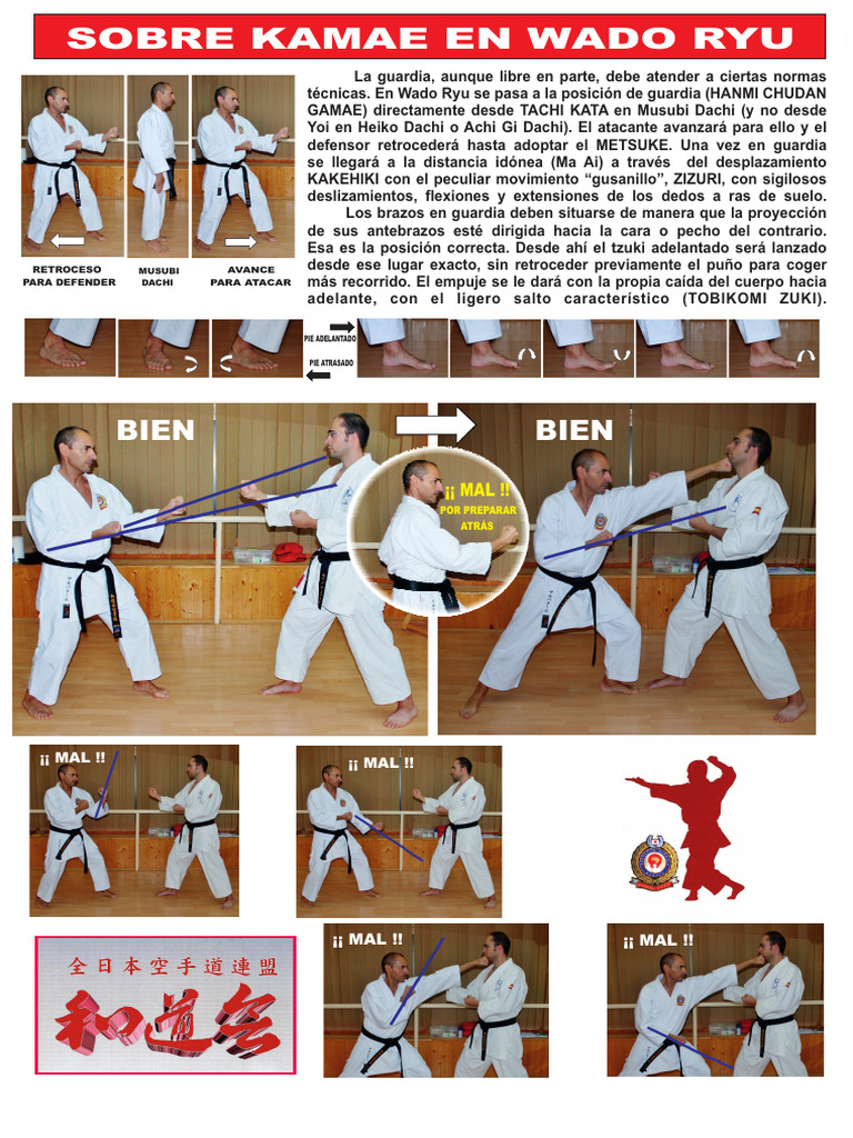 Técnicas de Kamae en Wado Ryu | PDF