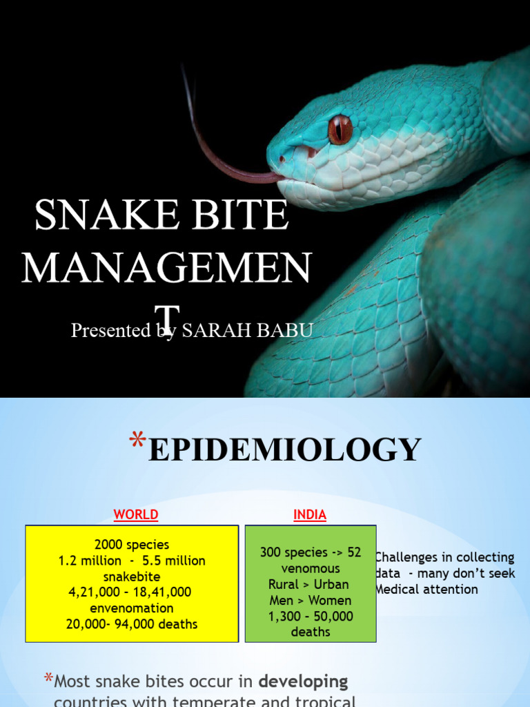 Snake Bite | PDF | Clinical Medicine | Diseases And Disorders