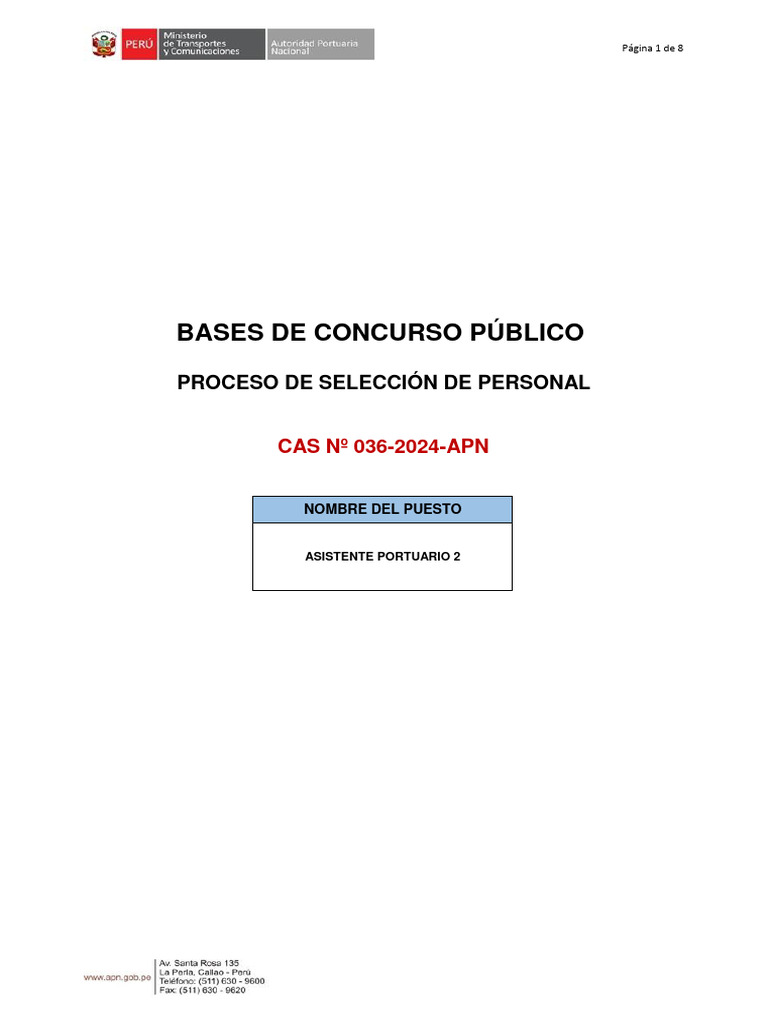 Bases Proceso 2024 036 Apn | PDF | Evaluación