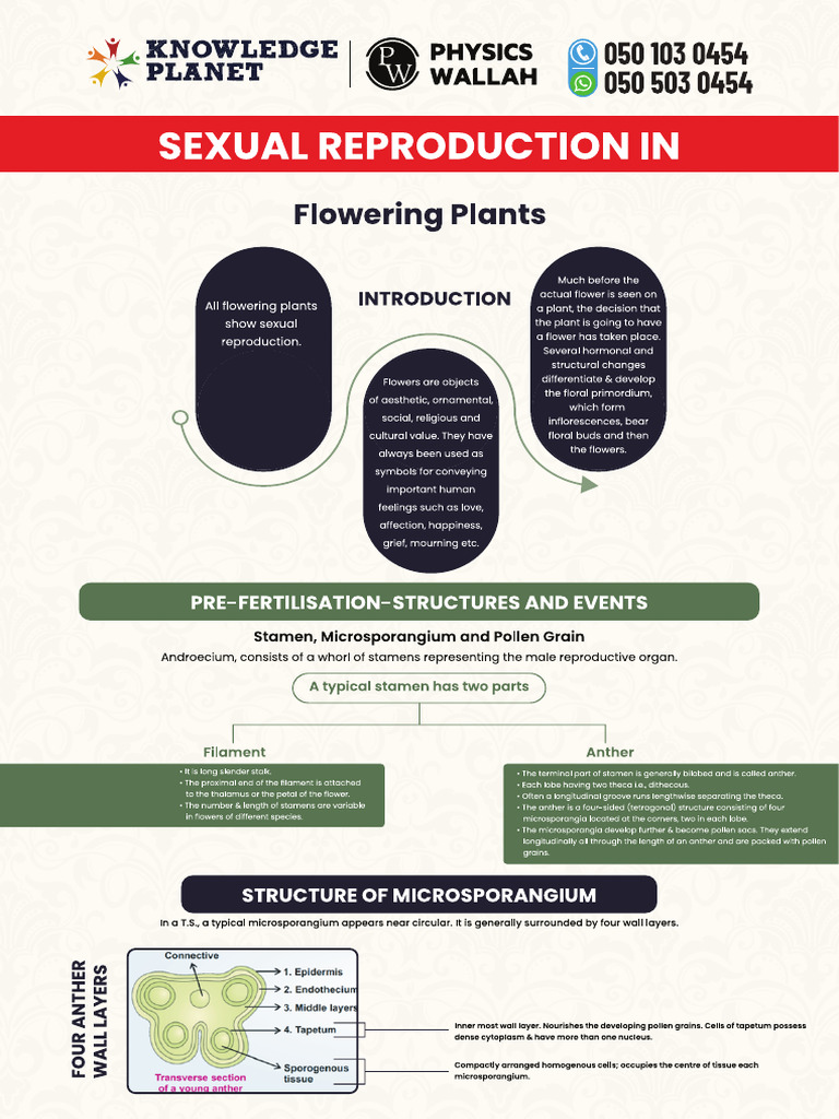 Sexual Reproduction in Flowering Plants | PDF