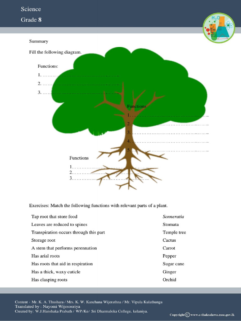 Diversity and Functions of Plant Parts (1) - 6 | PDF