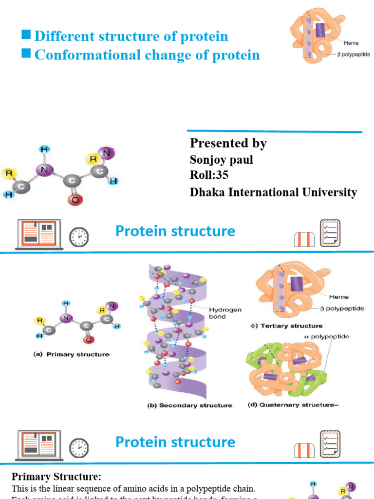 Protein Structure | PDF | Protein Structure | Beta Sheet