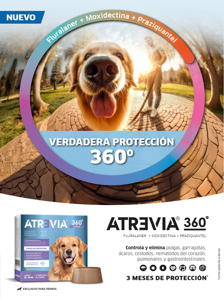 Atrevia 360 | PDF