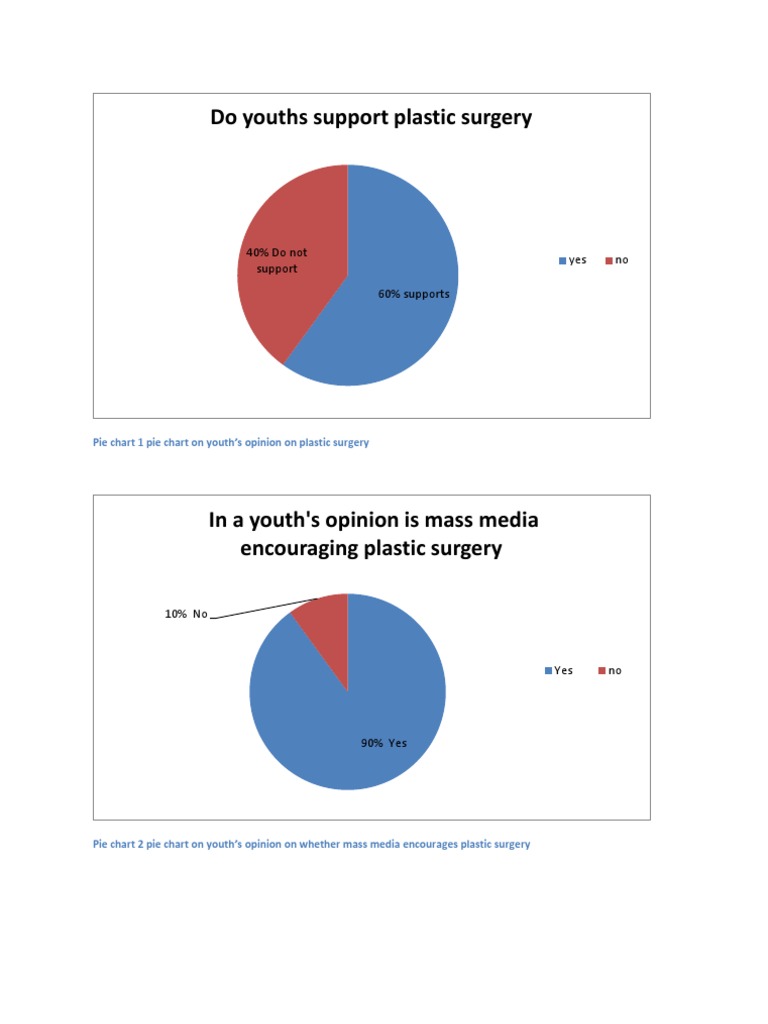 Pie Chart With Caption | Politics | Mass Media