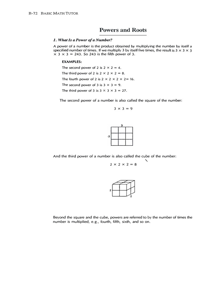 Exercise 8 - Powers and Roots | PDF