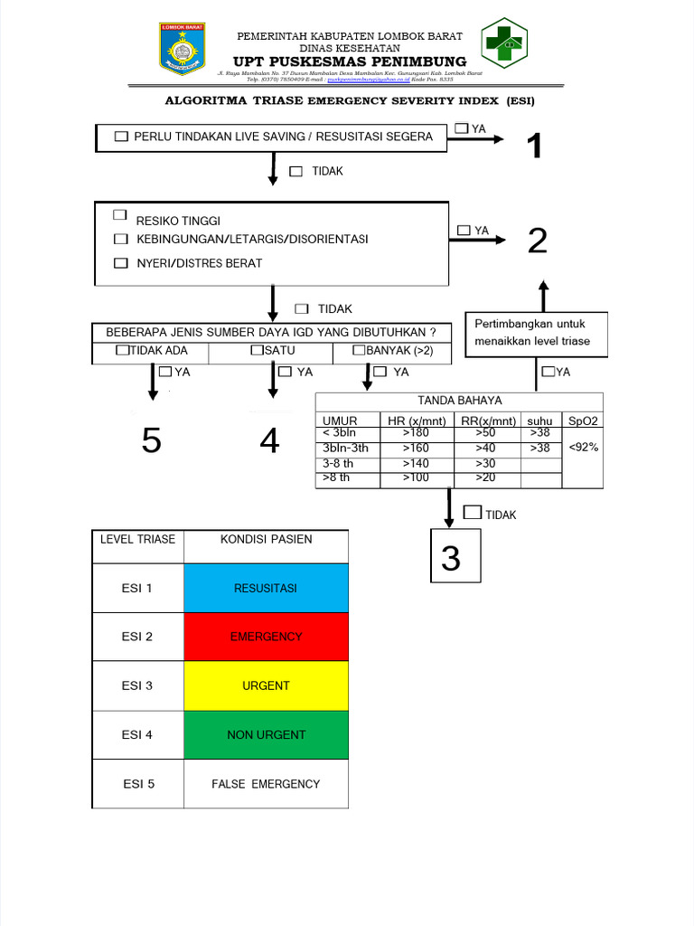 Algoritma Triase ESI Puskesmas | PDF