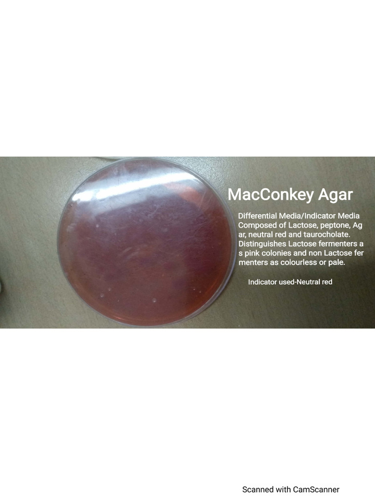 Micro Spotters-1 | PDF