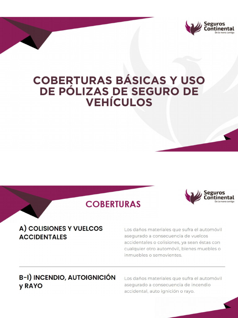 Guía de Uso de Seguro Vehicular | PDF | Negocios | Finanzas y dinero