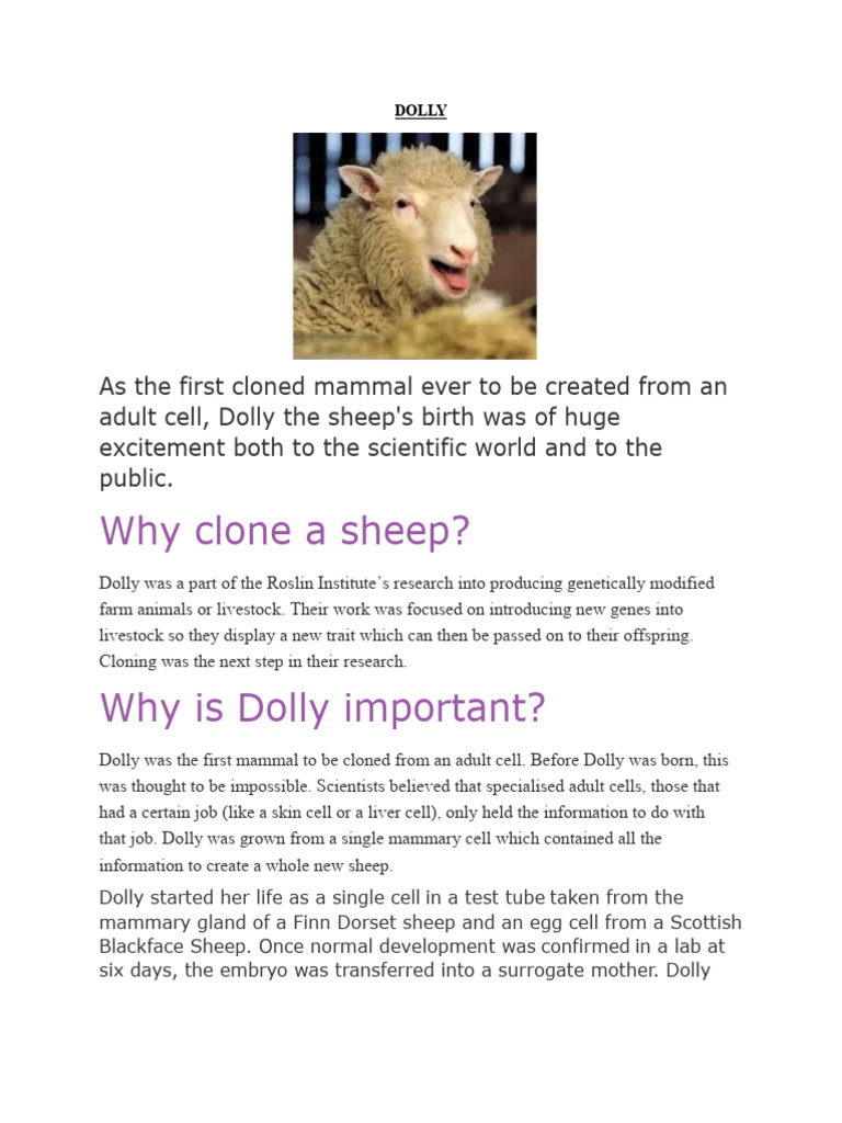 Isaiah Garth - Dolly The Sheep | PDF | Medical Specialties | Biology