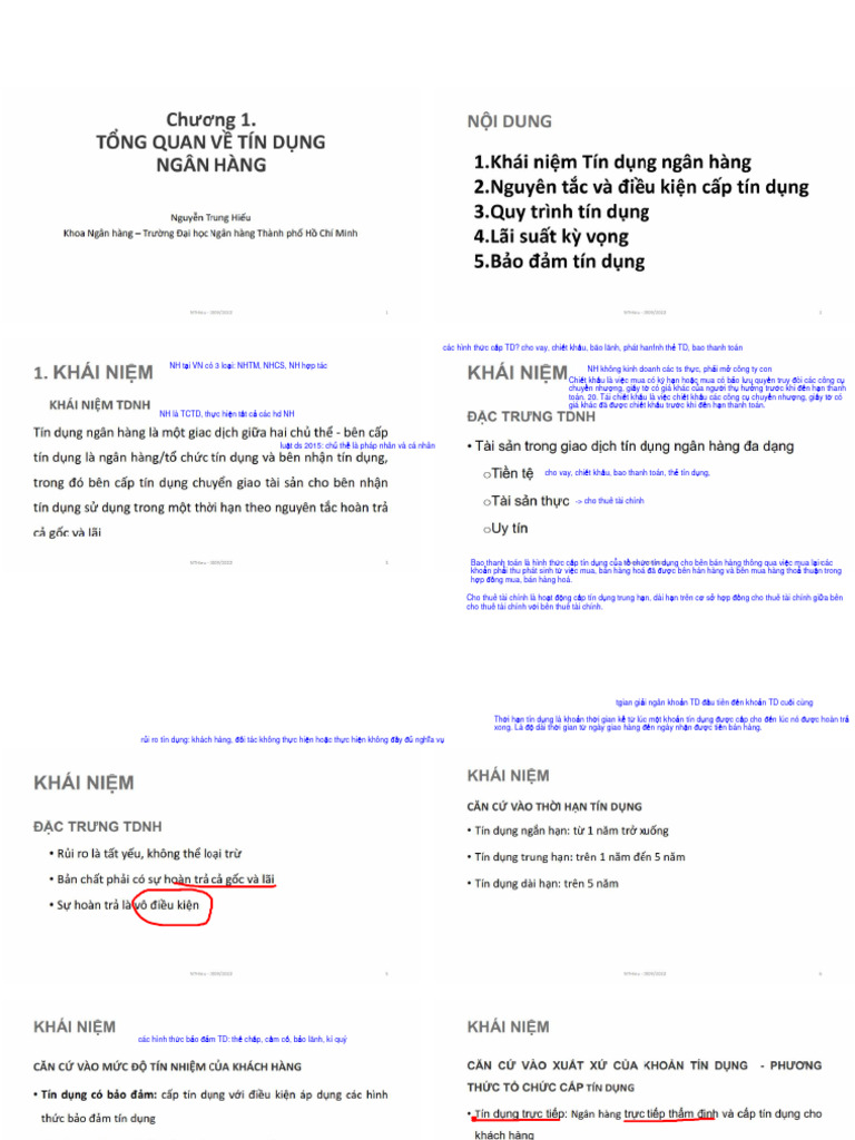 C1 - TỔNG QUAN VỀ TÍN DỤNG NGÂN HÀNG - LMS | PDF