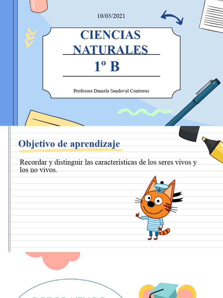Imágenes de seres vivos y no vivos | PDF | Relaciones personales ...