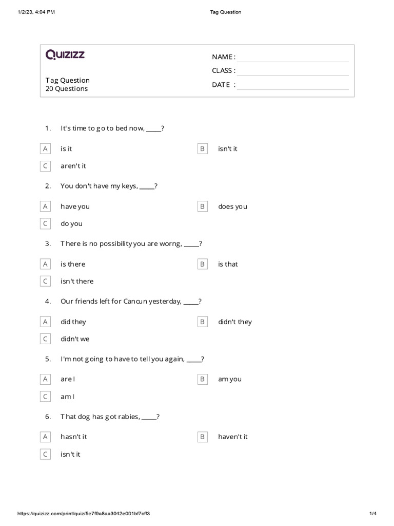 Grade 5 Tag Questions Worksheet | PDF