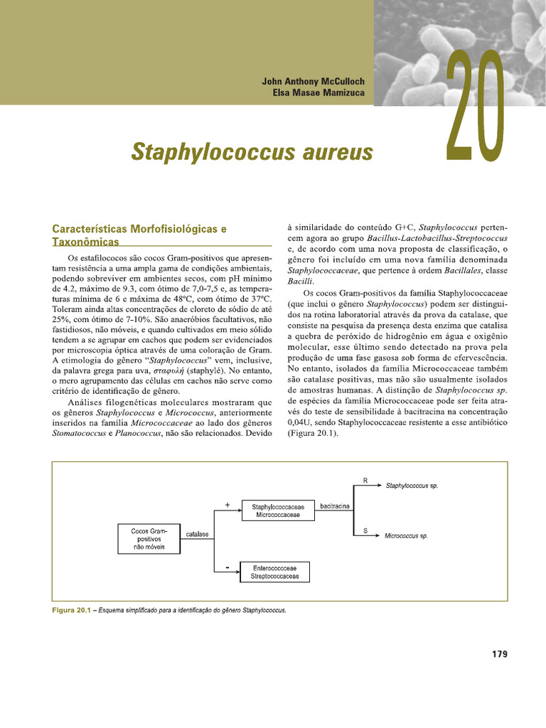 Staphylococcus Aureus - Trabulsi | PDF