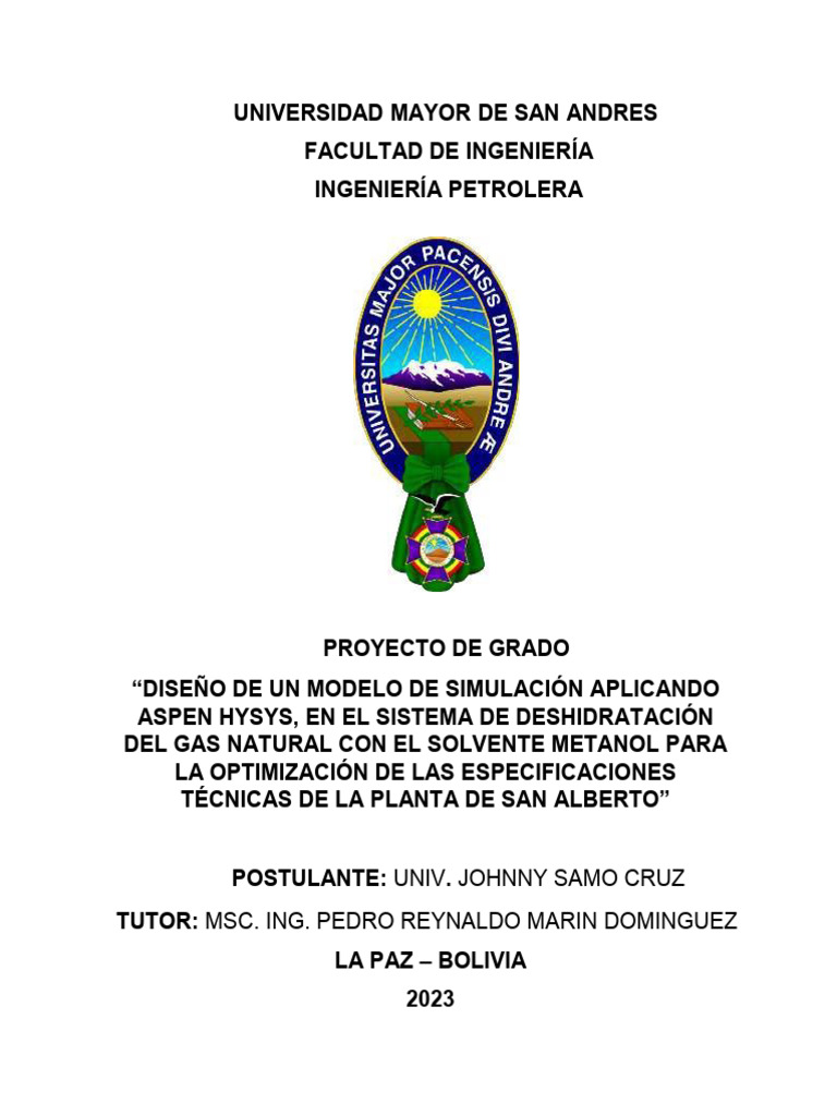 PG 8717 | Descargar gratis PDF | Hidrocarburos | Gas natural