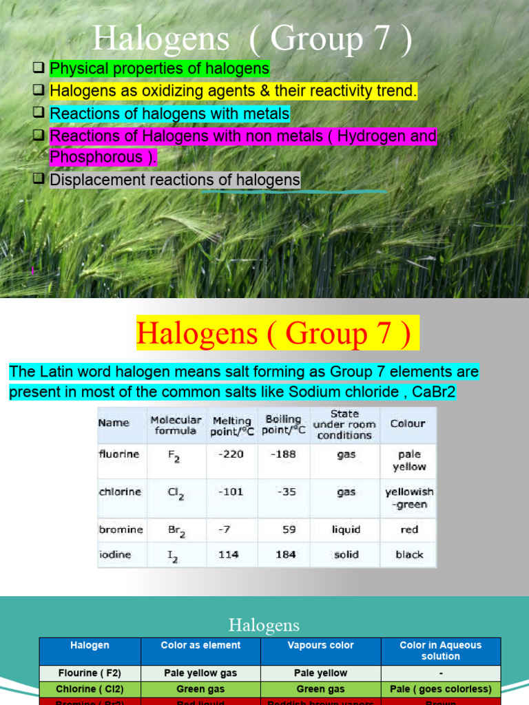 Halogens | PDF | Chlorine | Iodine