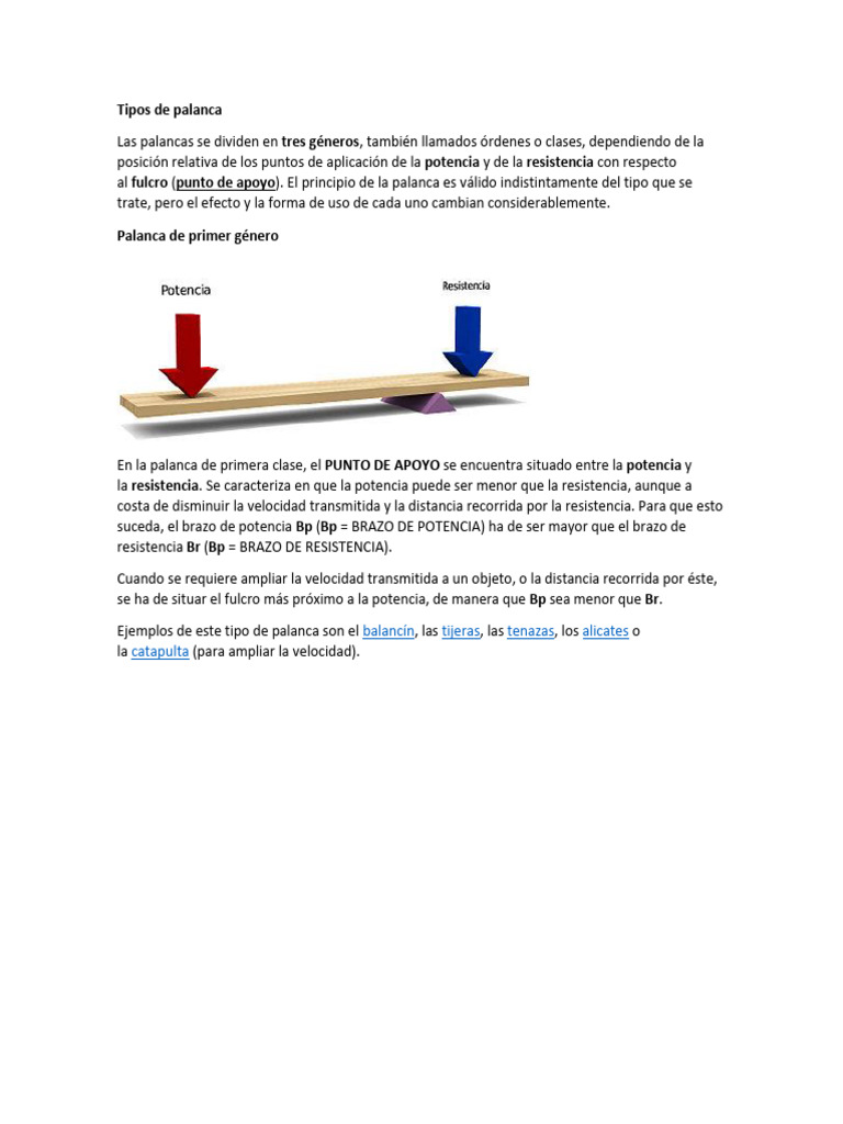 Tipos de Palanc | PDF