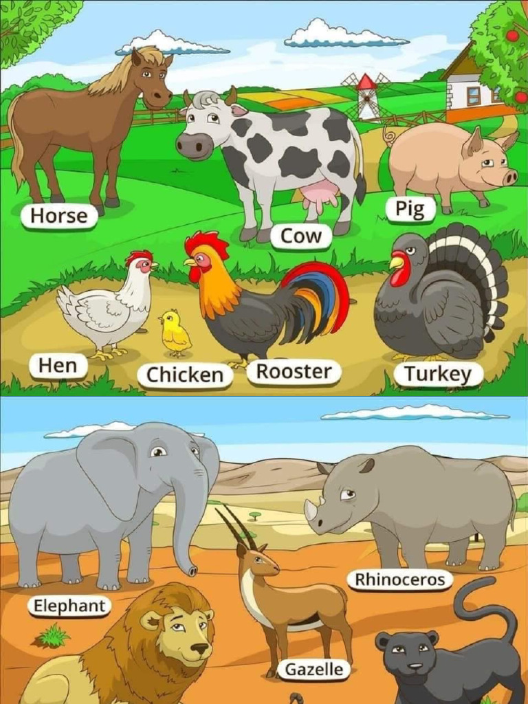 Bi Words Reading | PDF