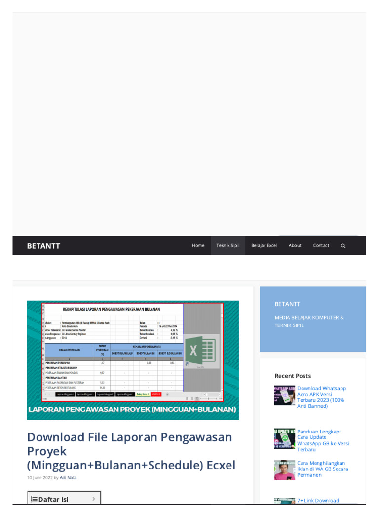 File Laporan Pengawasan Proyek (Mingguan+Bulanan+Schedule) Ecxel | PDF