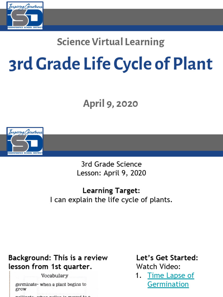 3rd Grade Plant Life Cycle Lesson | PDF | Home & Garden | Science ...