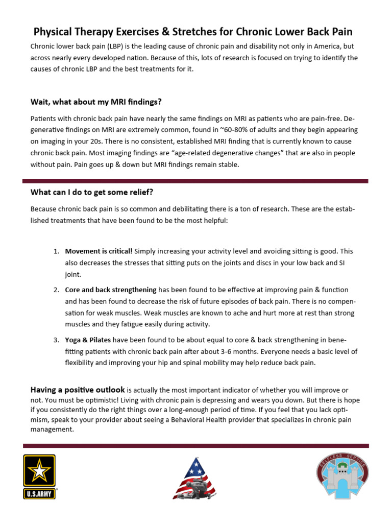 Chronic LBP Info Exercise | PDF | Low Back Pain | Back Pain