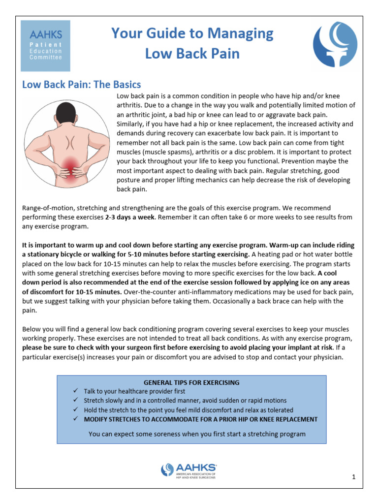 Low Back Pain Exercises | PDF | Pelvis | Knee
