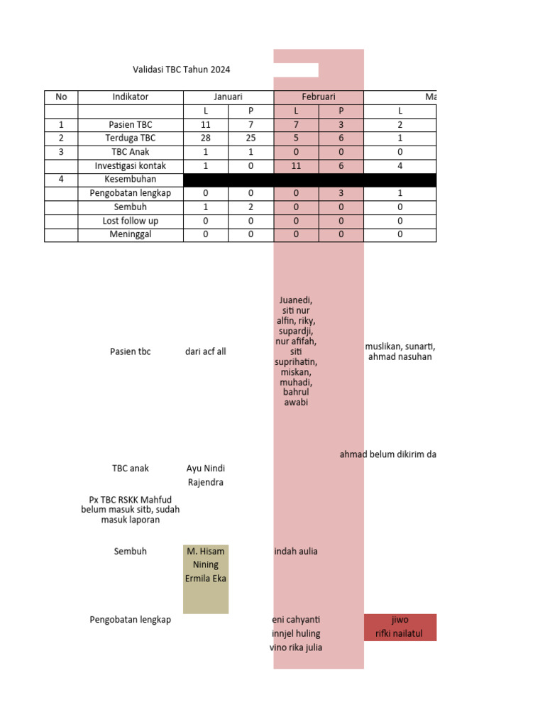 Validasi TBC 2024 | PDF