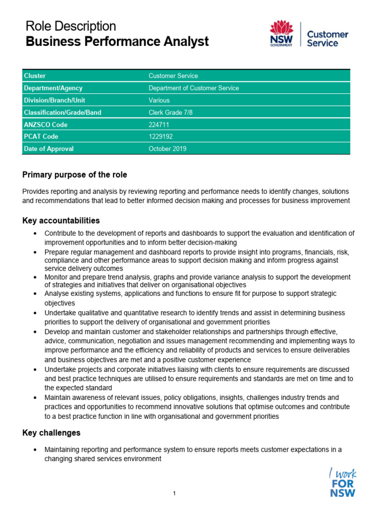 Business Performance Analyst Role Overview | PDF | Information ...