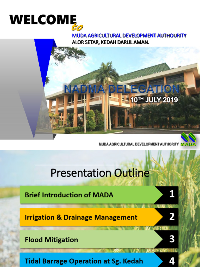 Muda Agricultural Development Overview | PDF | Paddy Field | Dam