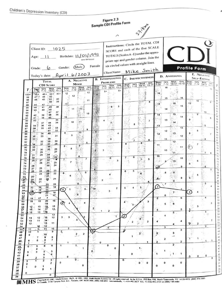 Cdi Interpretation | PDF