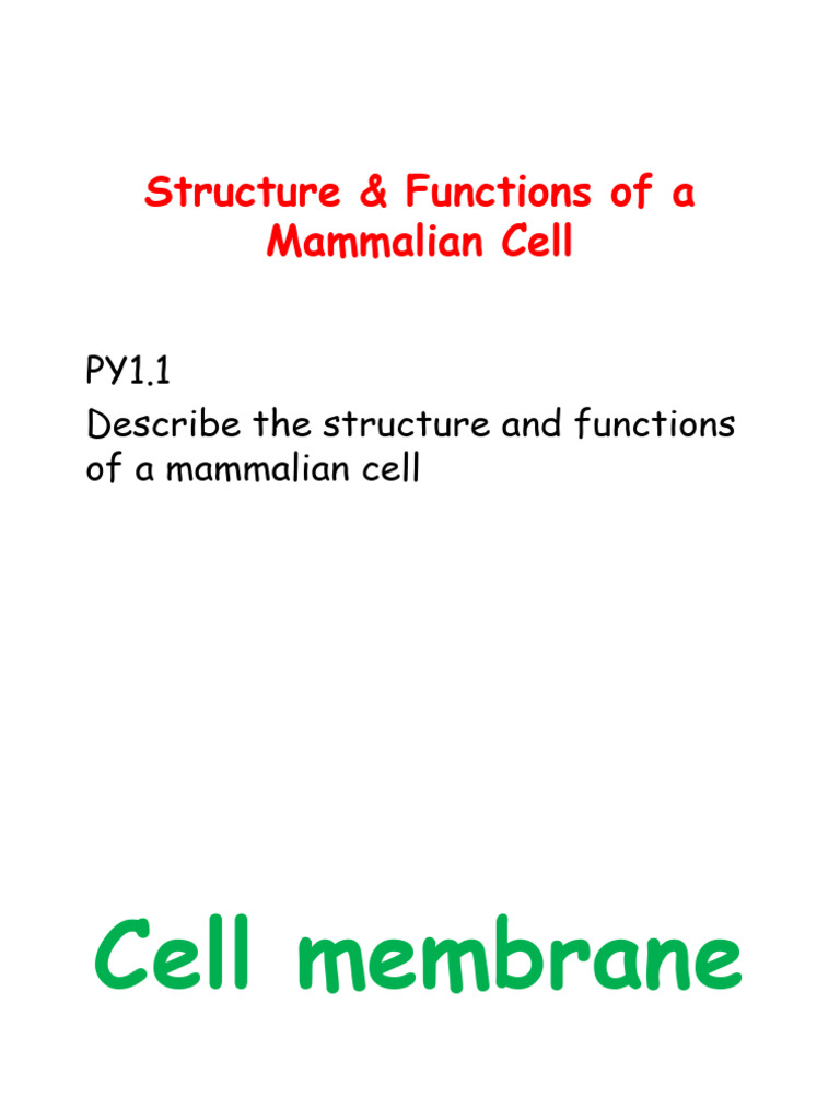 2 Struc Func of A Mammalian Cell | PDF | Cell Membrane | Ion Channel