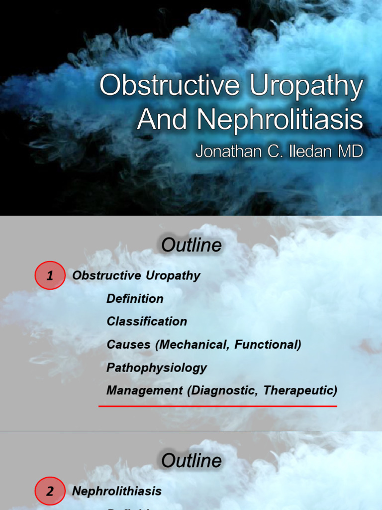 Obstructive Uropathy Overview and Causes | PDF | Medical Specialties ...