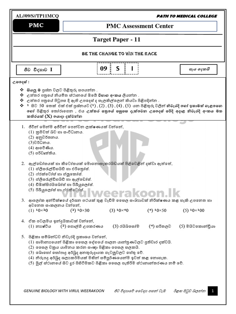 2023 TP 11 MCQ SM | PDF