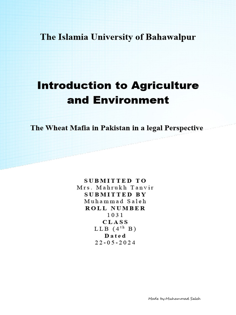 Saleh | PDF | Corruption | Mafia