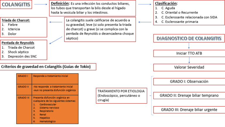 Guía Completa sobre Colangitis y Tratamientos | PDF