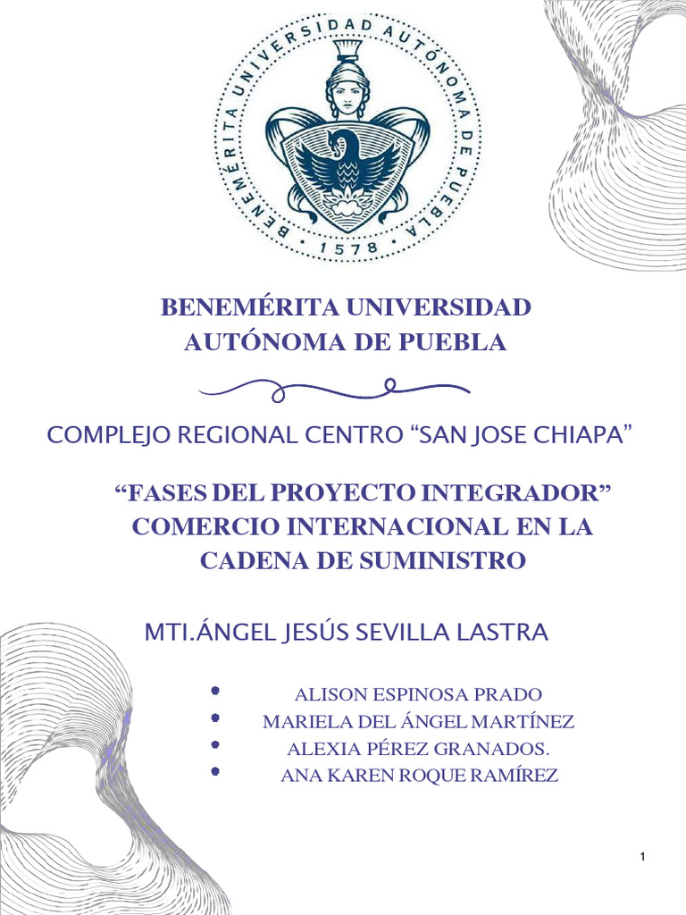 Proyecto Integrador Final | PDF | Iniciativa empresarial | Marketing