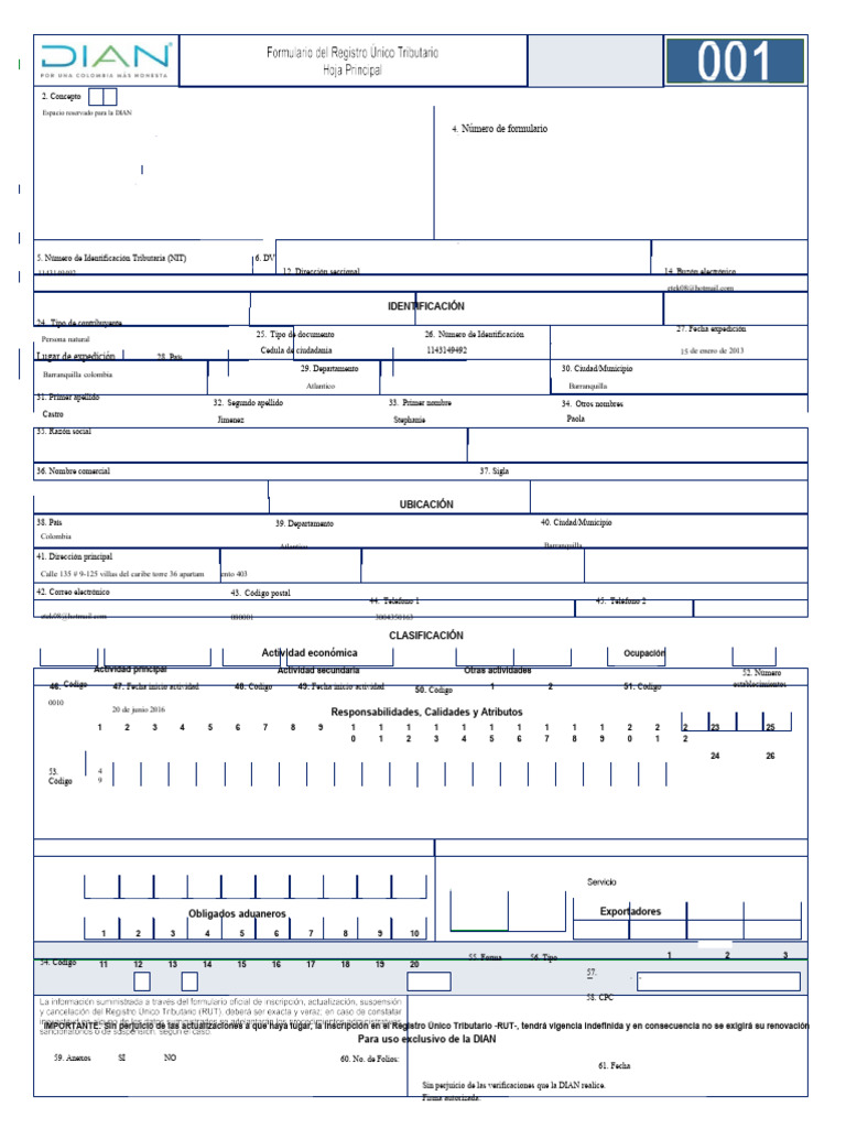 Formato 001 Rut Editable - Compress | PDF