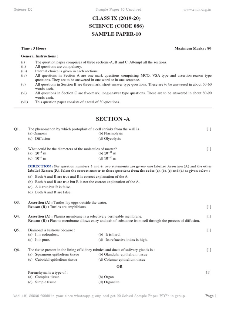 science 2 | PDF | Force | Epithelium
