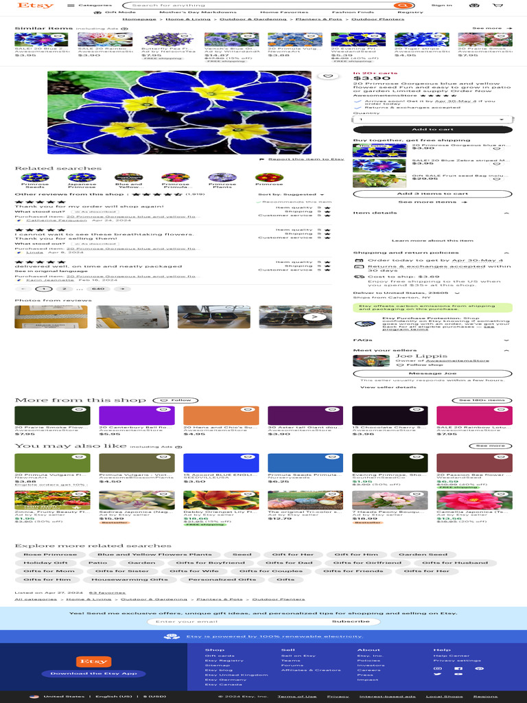 20 Primrose Gorgeous Blue and Yellow Flower Seed Fun and Easy To Grow in Patio or Garden Limited ...