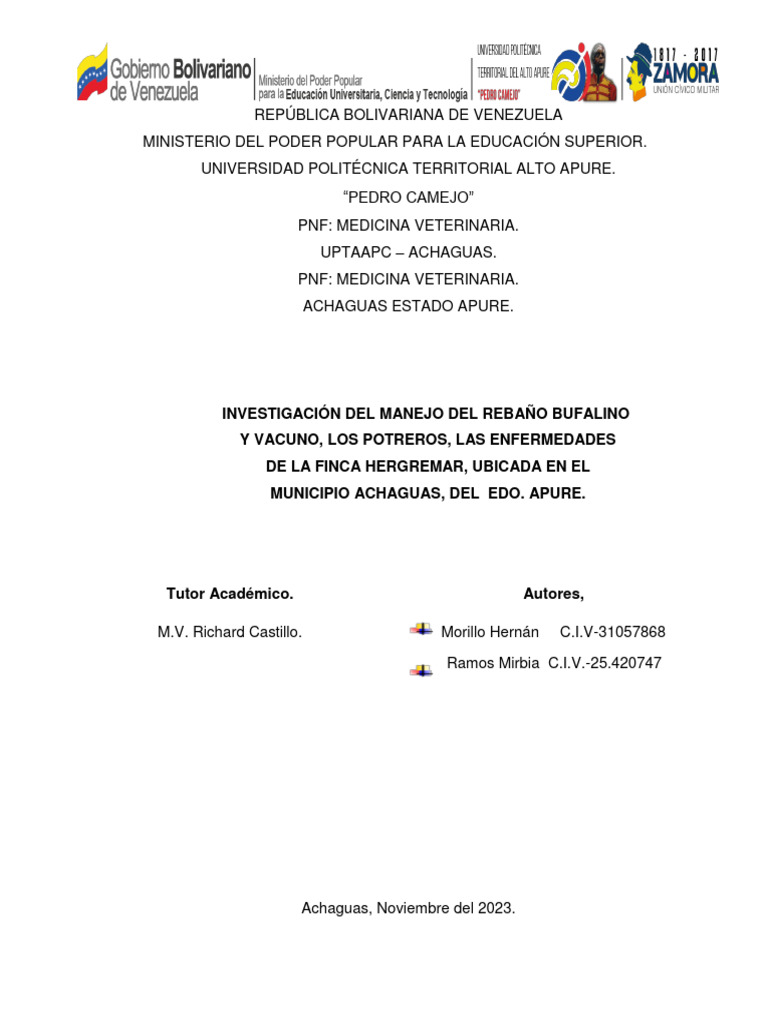 Manejo de Rebaño Bufalino y Vacuno en Apure | PDF | Vacas | Pasto