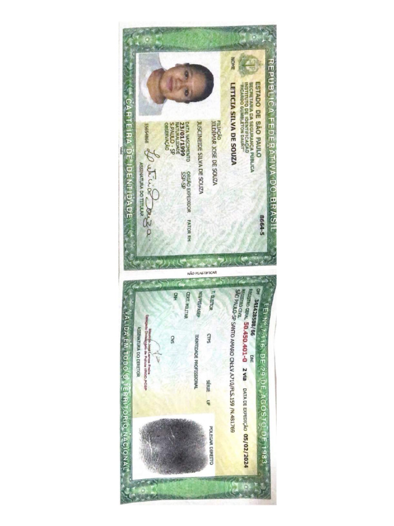 RG Atualizado Compactado | PDF