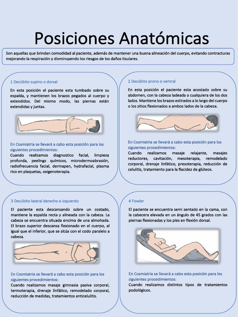 Posiciones Anatómicas Deber | PDF | Masaje | Términos anatómicos de ...