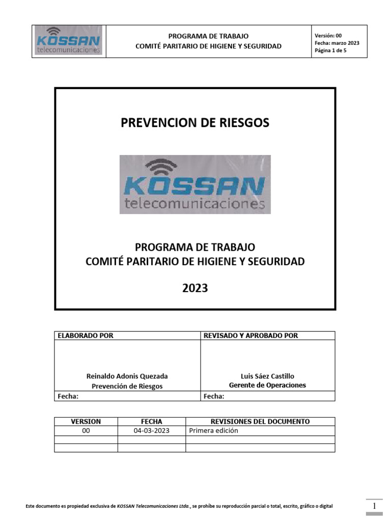 PROGRAMA DE TRABAJO CPHS | PDF