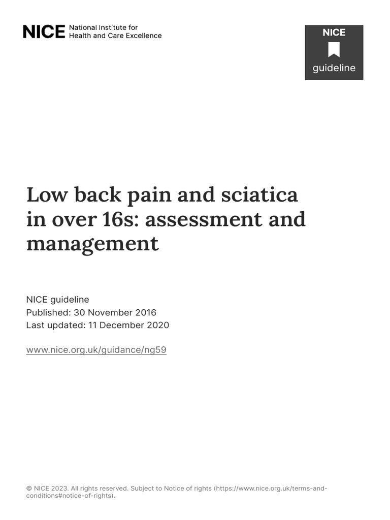Low Back Pain and Sciatica in Over 16s Assessment and Management PDF ...