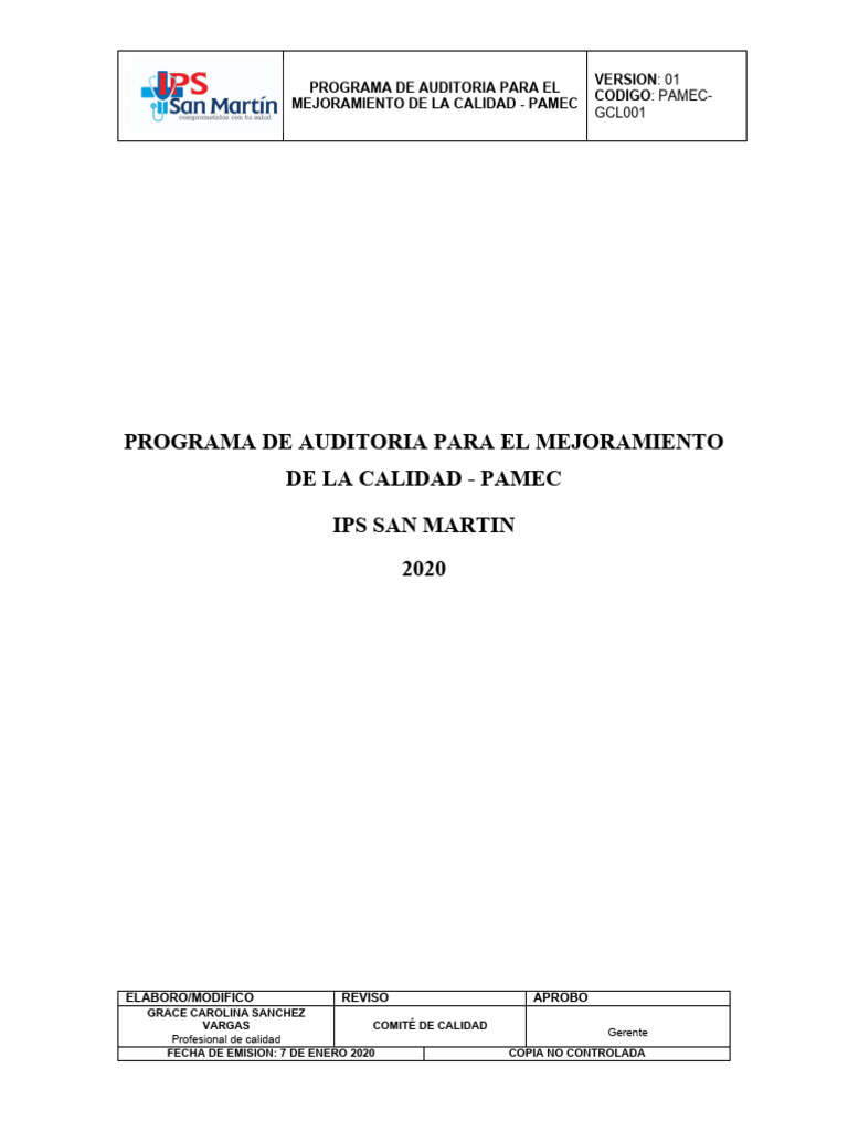 Documento Pamec | PDF | Calidad (comercial) | Auditoría