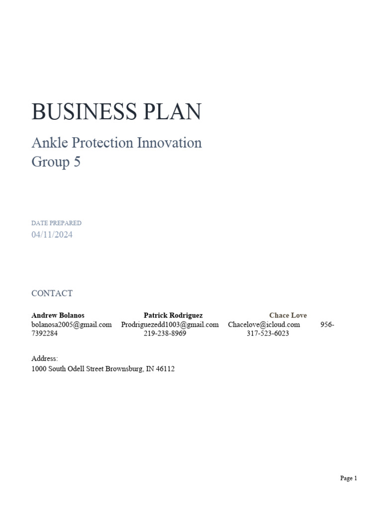 Business Plan Final | Download Free PDF | Retail | Shoe