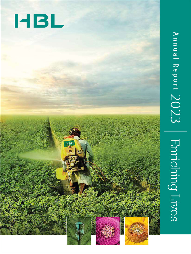 HBL Annual Report 2023 | PDF | Banks | Renewable Energy