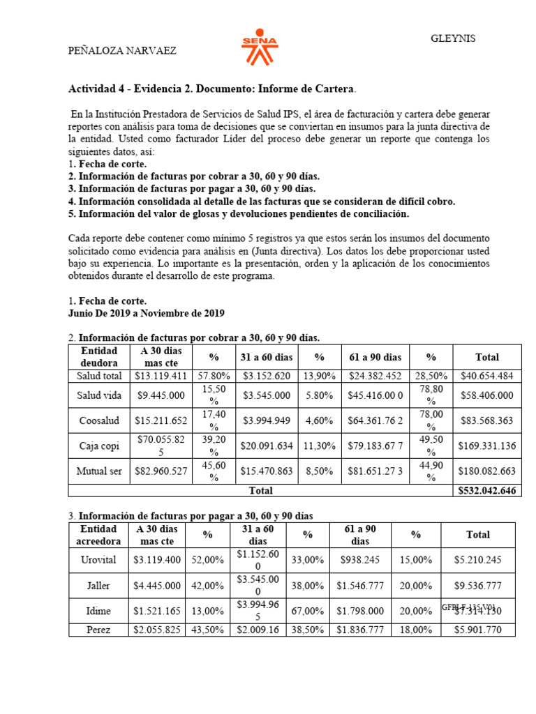 Actividad 4 - Evidencia 2 Documento Informe de Cartera | PDF | Finanzas y dinero